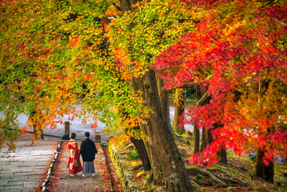 Best Places to Visit in october: The Ultimate Travel Guide | Begovo